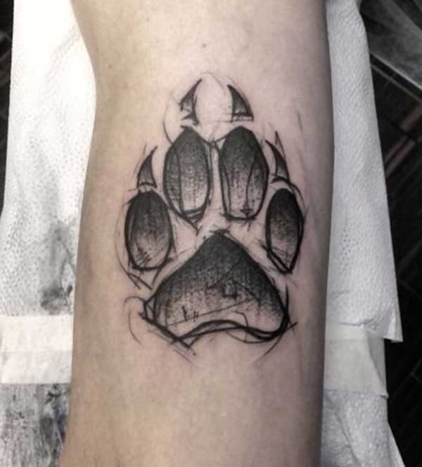 67 Tatuagens de Garras para Rasgar Sua Pele [Desenhos]