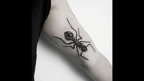 Formiga Tattoos