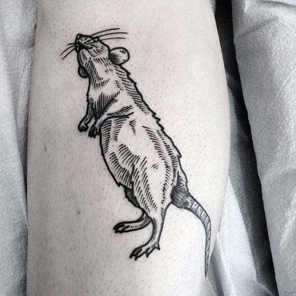 97 Tatuagens de Ratos em Fotos, Desenhos e Imagens